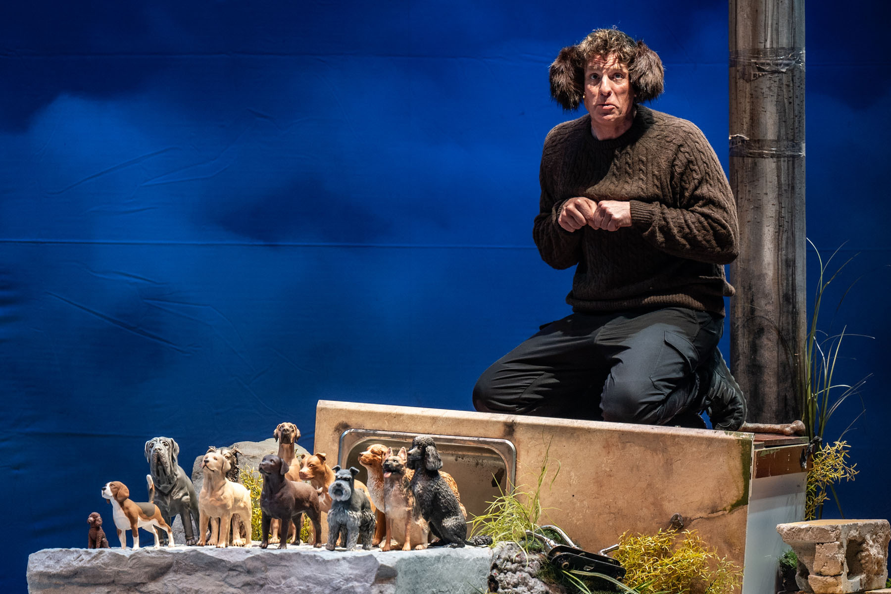 Mirvish.com: Fifteen Dogs