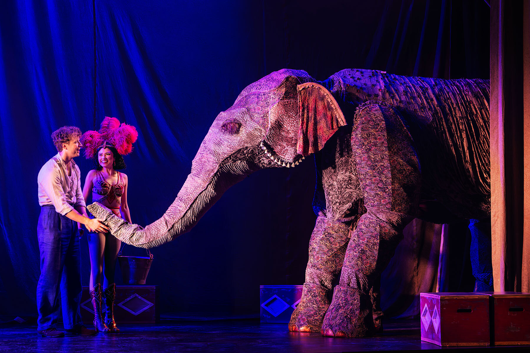 Water For Elephants || Mirvish