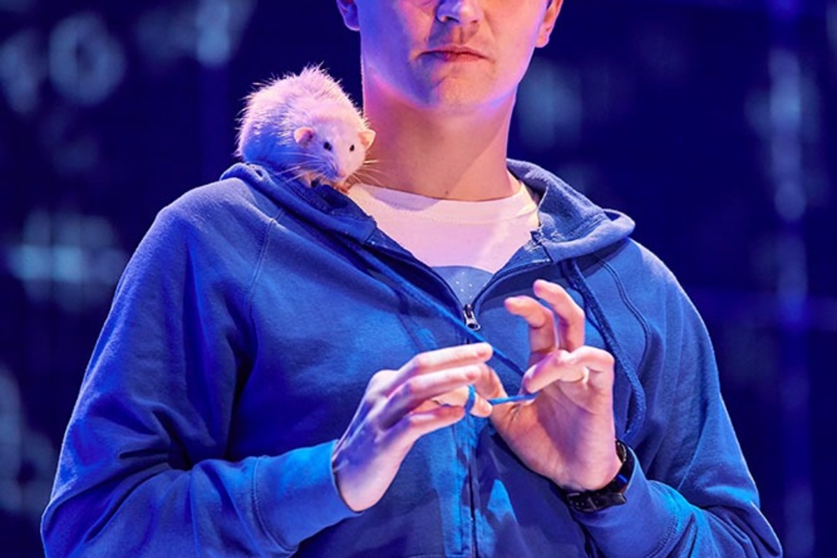 Mirvish.com: The Curious Incident of the Dog in the Night-Time