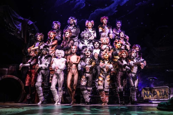 Mirvish.com: CATS