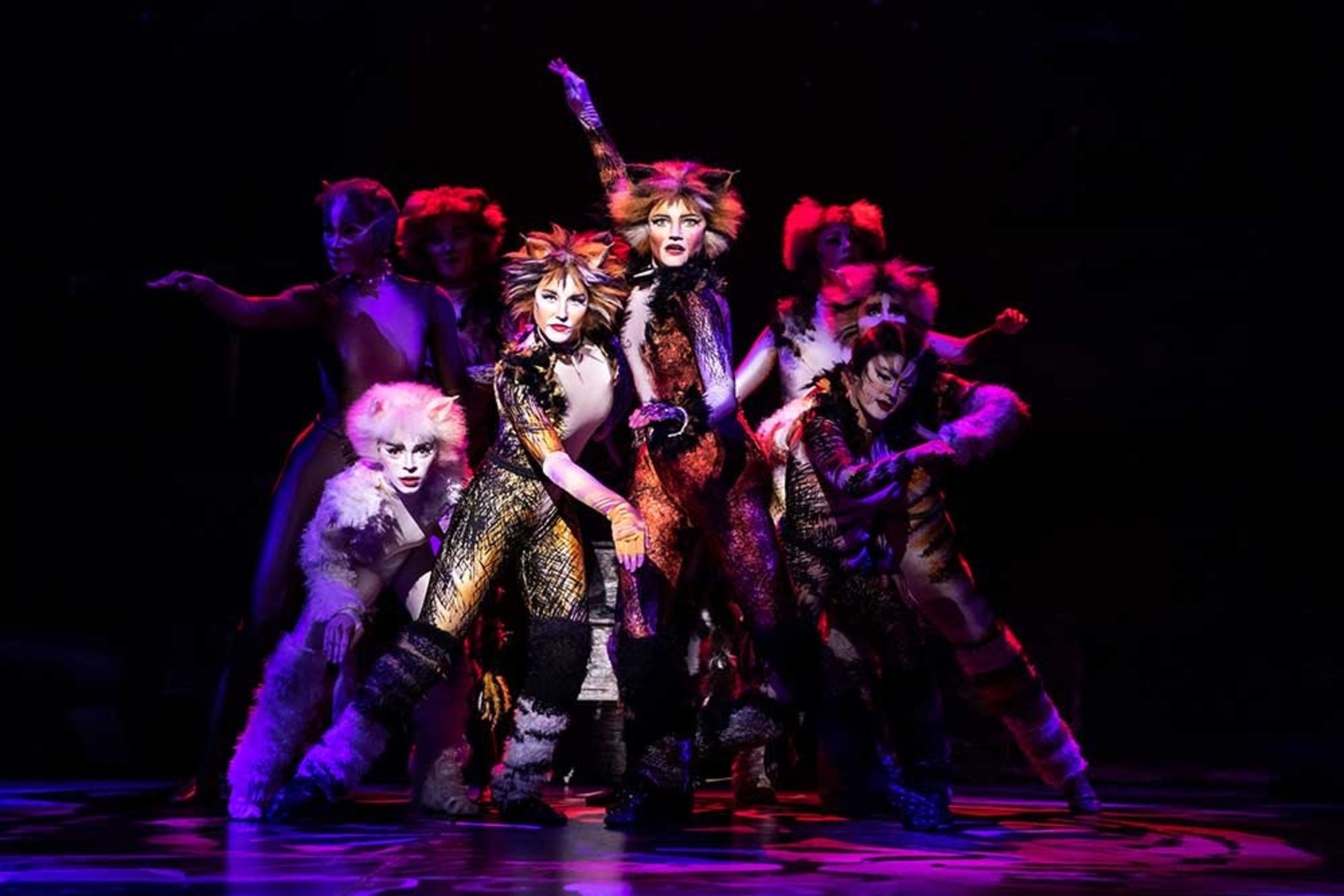 Mirvish.com: CATS