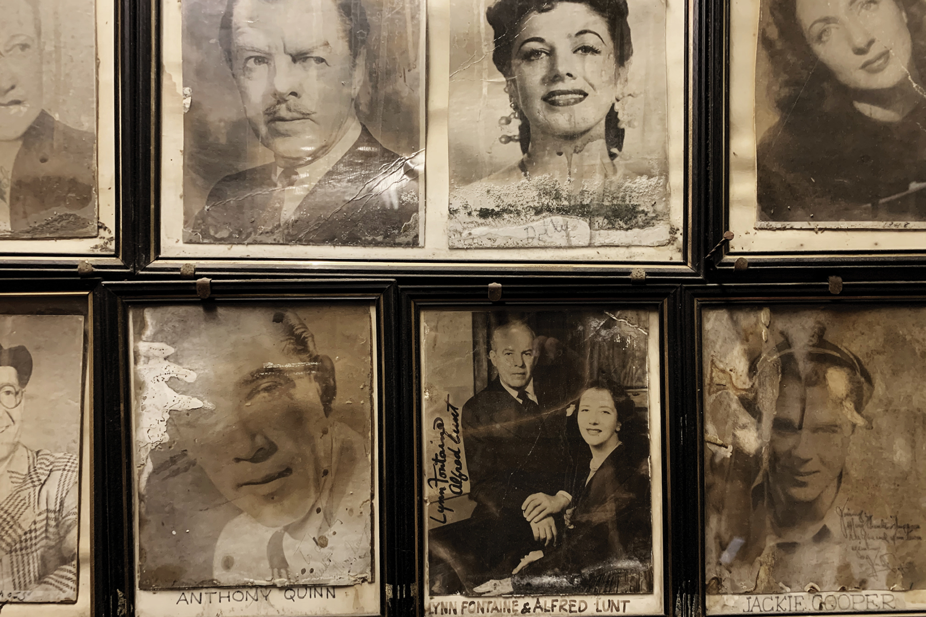 Mirvish.com: Show Archives
